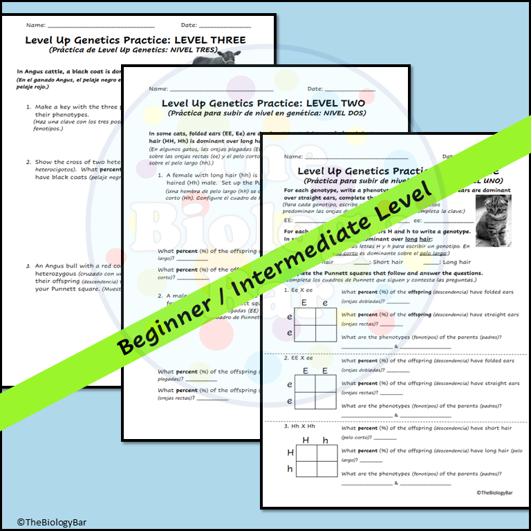 ESL Biology Genetics Level Up Worksheets | Made By Teachers