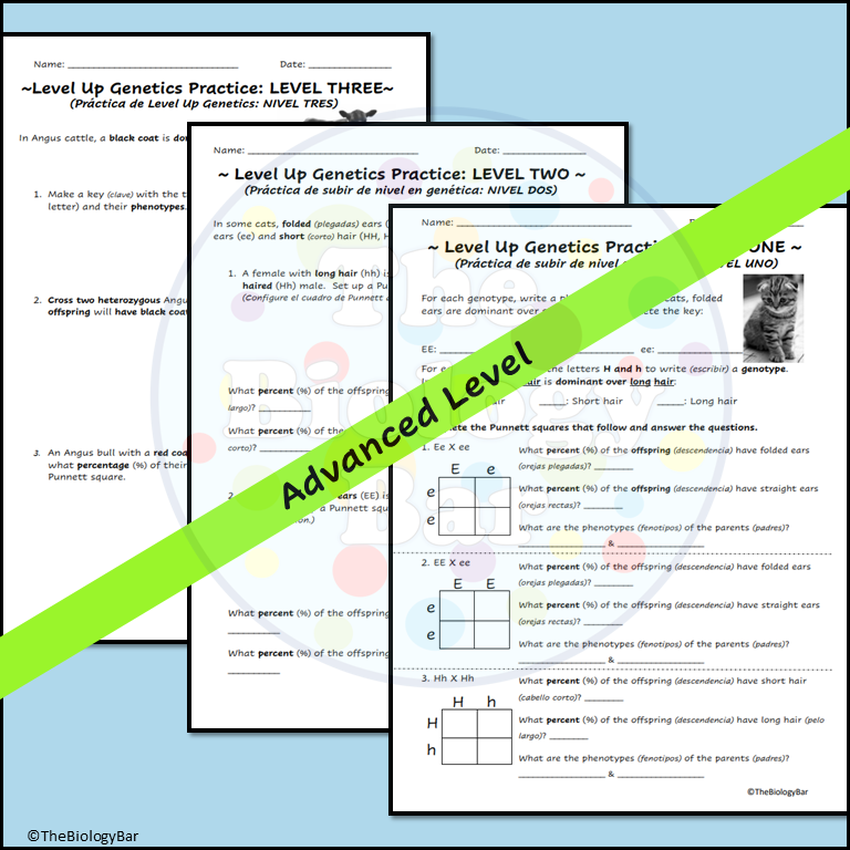 ESL Biology Genetics Level Up Worksheets | Made By Teachers