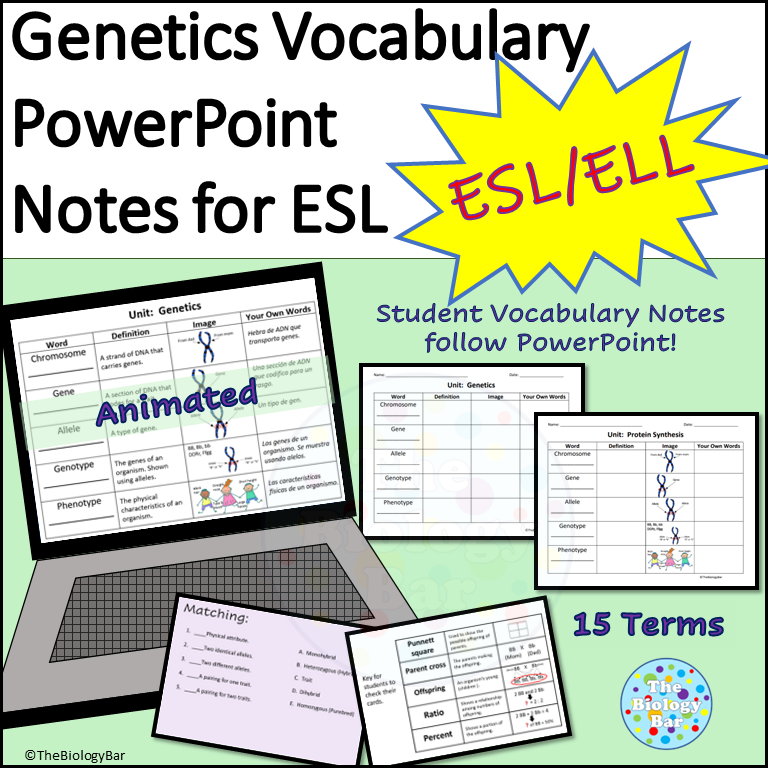Protein Synthesis Biology Clip Art | Made By Teachers