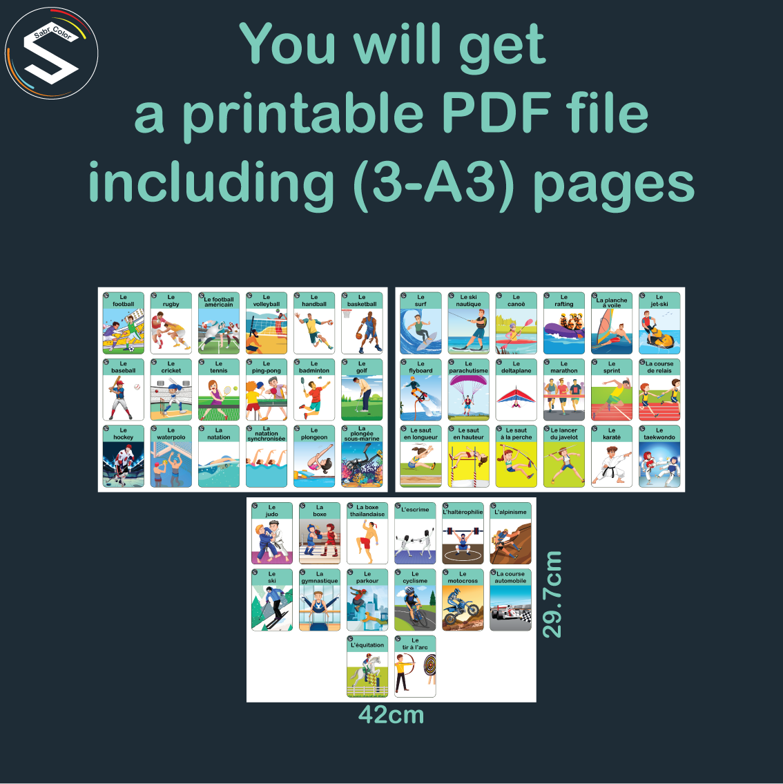 LES SPORTS | FRENCH "Sports" Vocabulary Flashcards, (9x6cm). 50 noms et ...