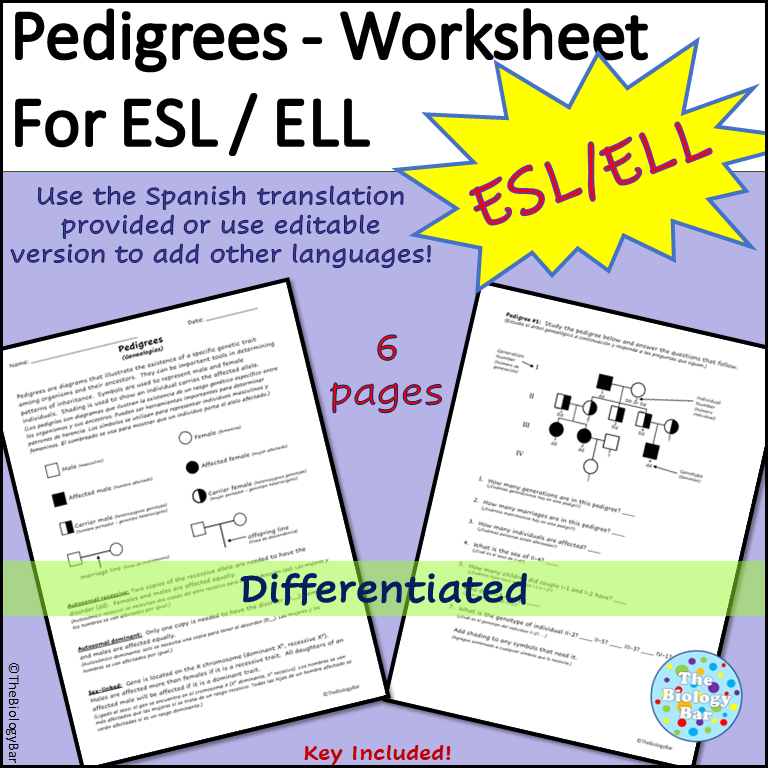 ESL Biology Genetics Pedigree Worksheet | Made By Teachers
