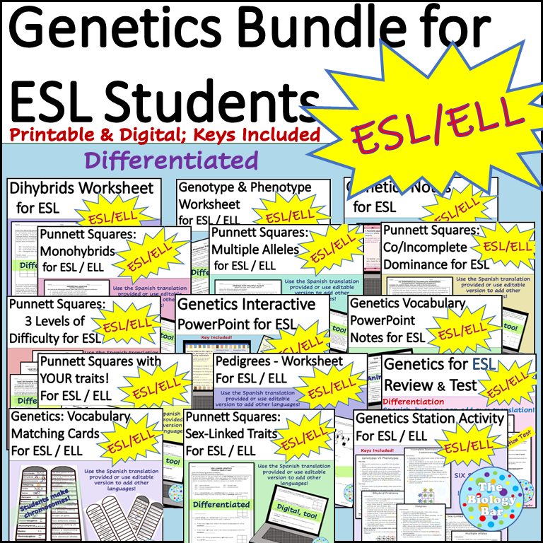 Osmosis Homeostasis Virtual Lab | Made By Teachers
