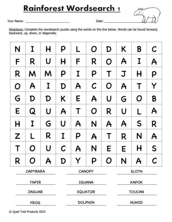 Animal Adaptations in the Rainforest Habitat Activities and Worksheets ...