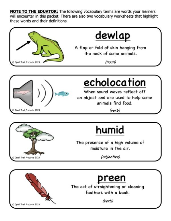 Animal Adaptations in the Rainforest Habitat Activities and Worksheets ...