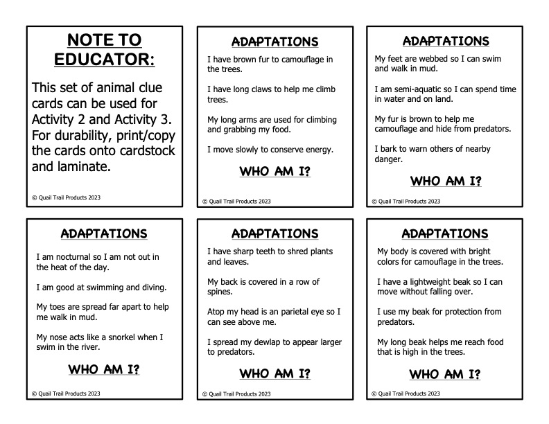 Animal Adaptations in the Rainforest Habitat Activities and Worksheets ...