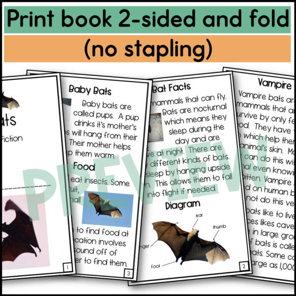 Bat Nonfiction Book and Craft | Made By Teachers