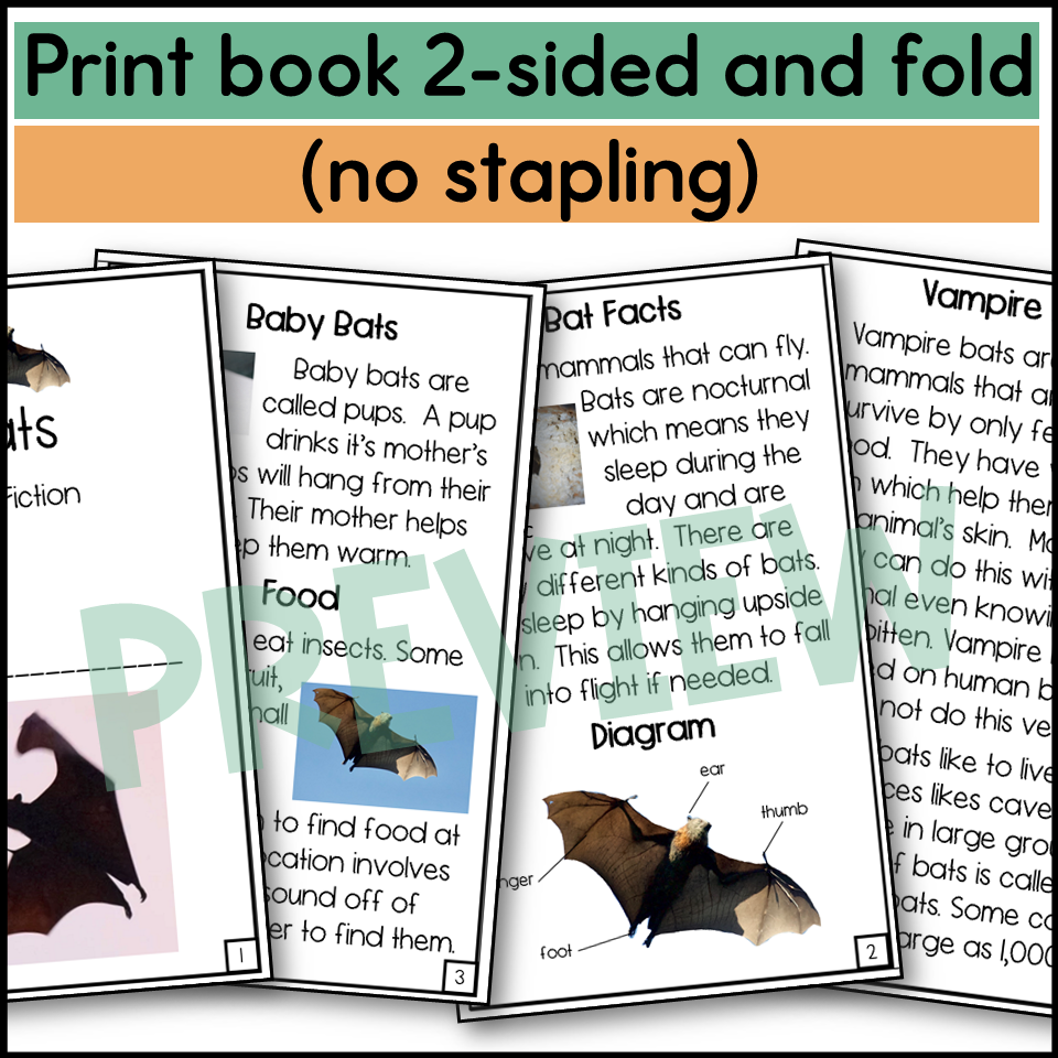 Bat Nonfiction Book and Craft | Made By Teachers