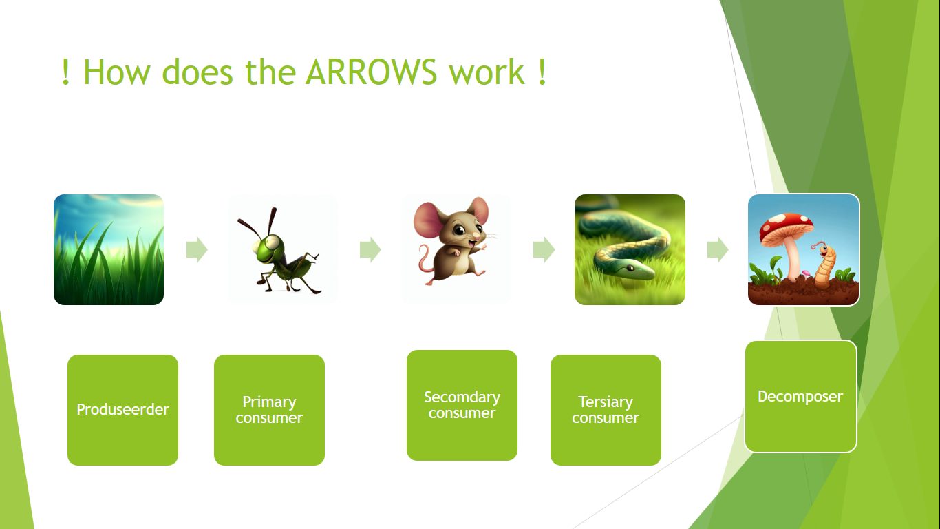 Foodchain powerpoint | Made By Teachers