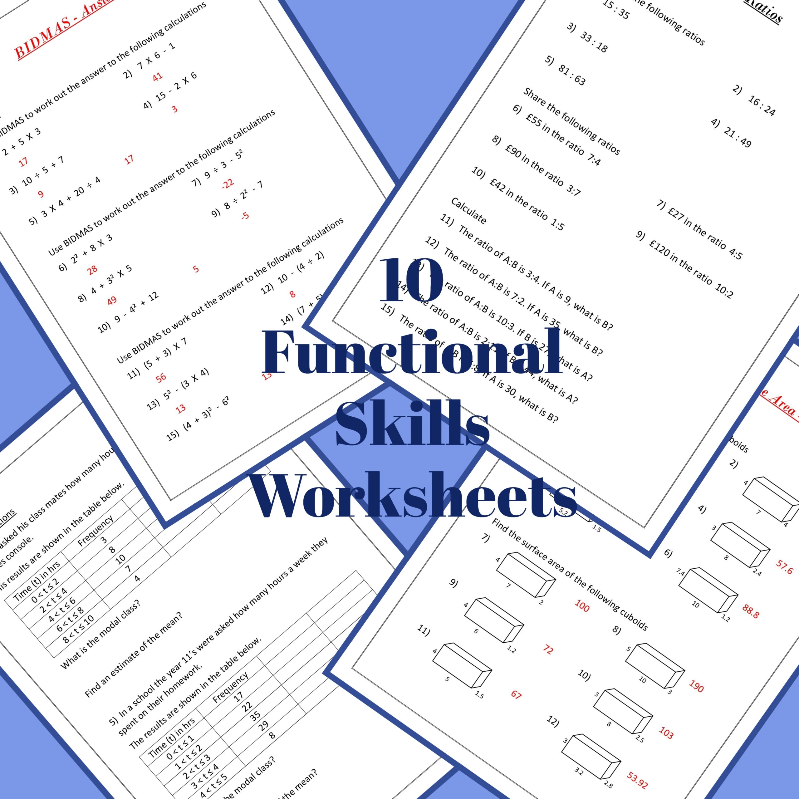 10 Functional Skills Maths Worksheets Revision Made By Teachers