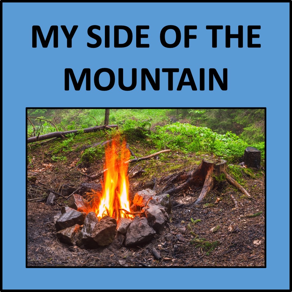 My Side of the Mountain - a complete novel study | Made By Teachers