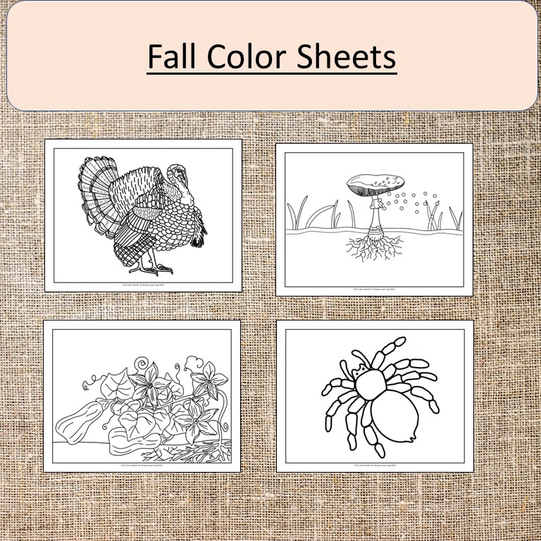 Fall Color Sheets Pages Bats. Turkey, Squash, mushrooms Art | Made By ...