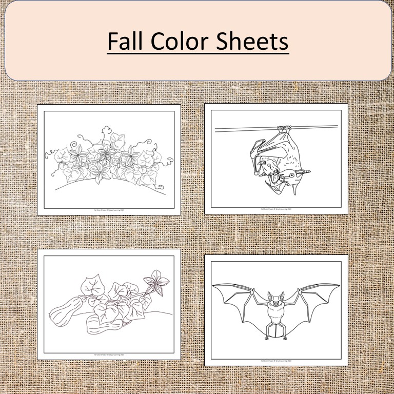 Fall Color Sheets Pages Bats. Turkey, Squash, mushrooms Art | Made By ...