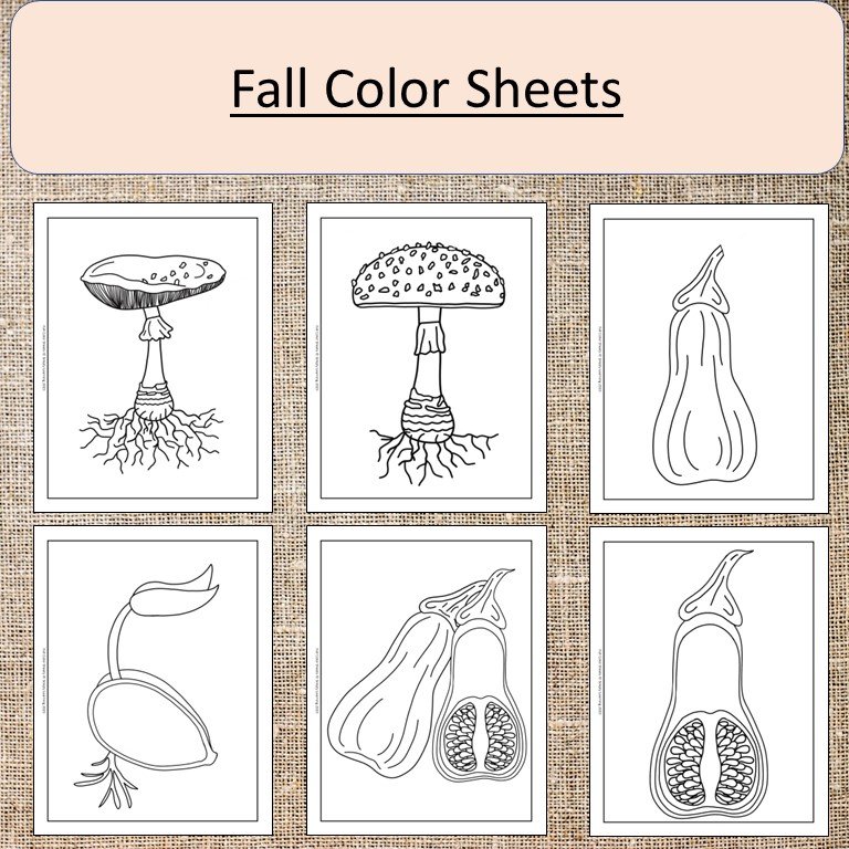 Fall Color Sheets Pages Bats. Turkey, Squash, mushrooms Art | Made By ...