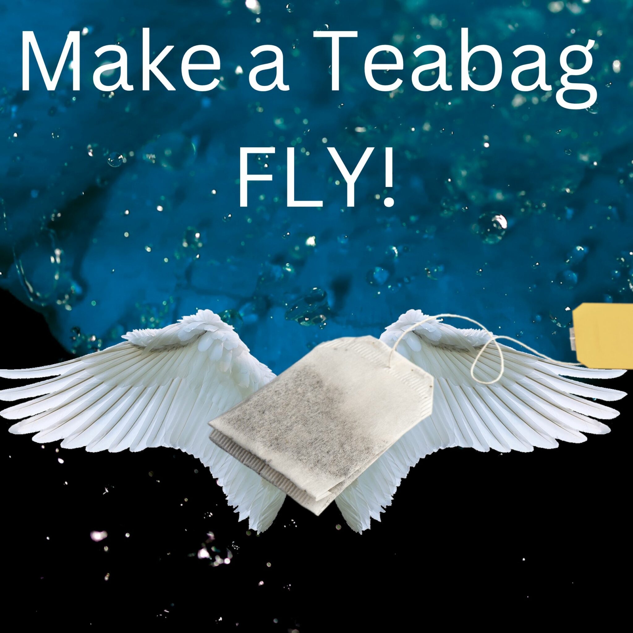 Convection Heat Energy Fun Science Lab Middle & High School Science ...