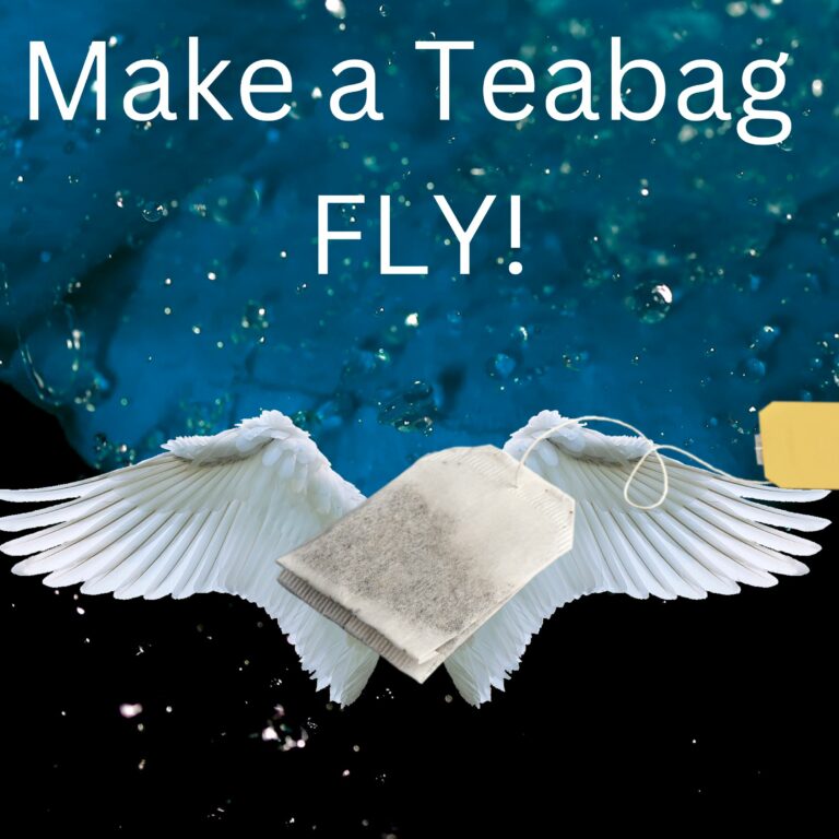 Convection Heat Energy Fun Science Lab Middle & High School Science ...