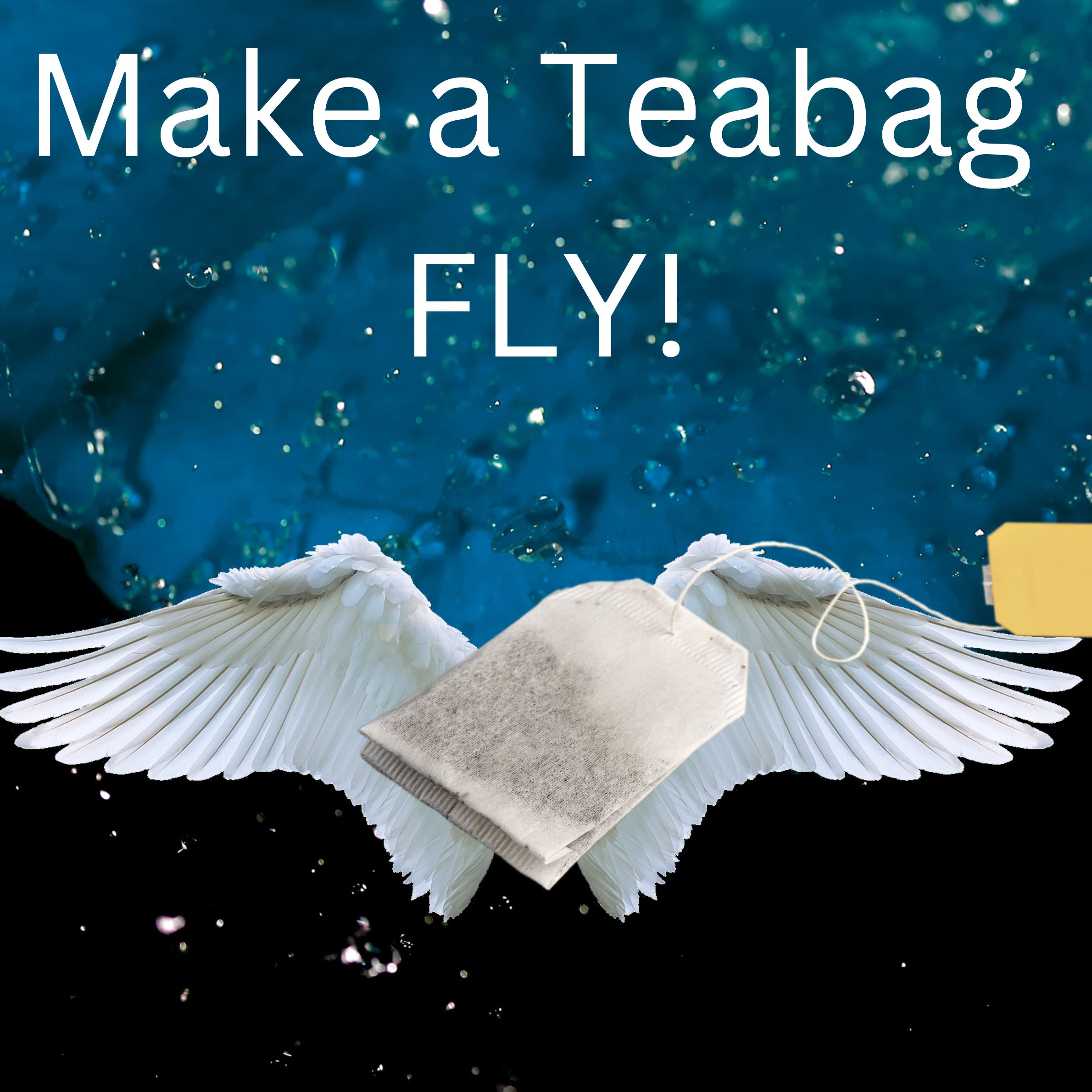 Convection Heat Energy Fun Science Lab Middle & High School Science ...