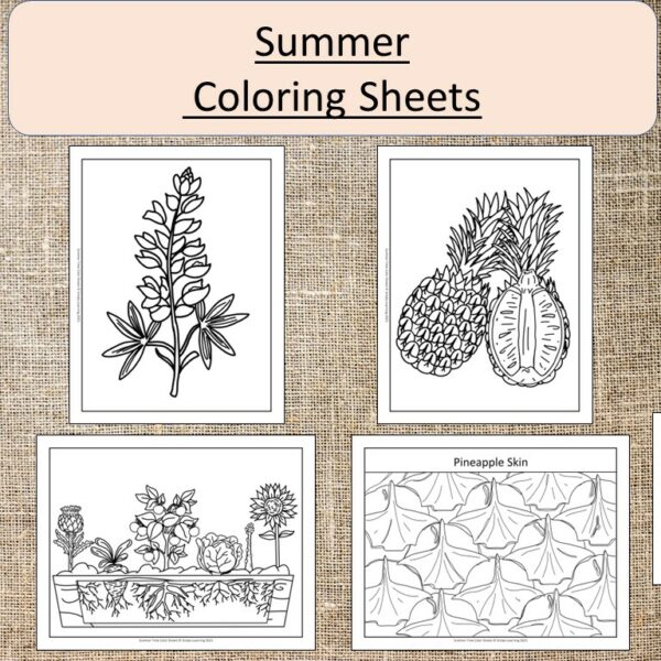 Summer Color Sheets Pages Art Garden Flowers Butterfly plants | Made By ...