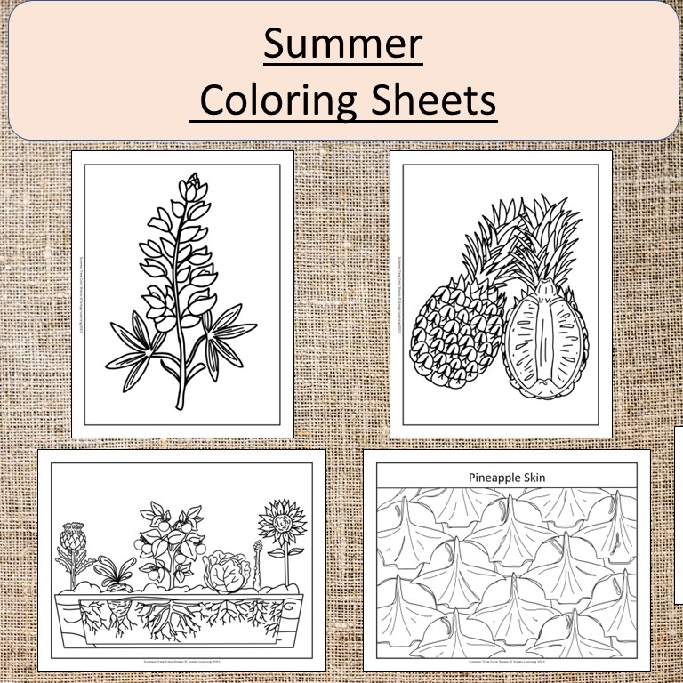 Summer Color Sheets Pages Art Garden Flowers Butterfly plants | Made By ...