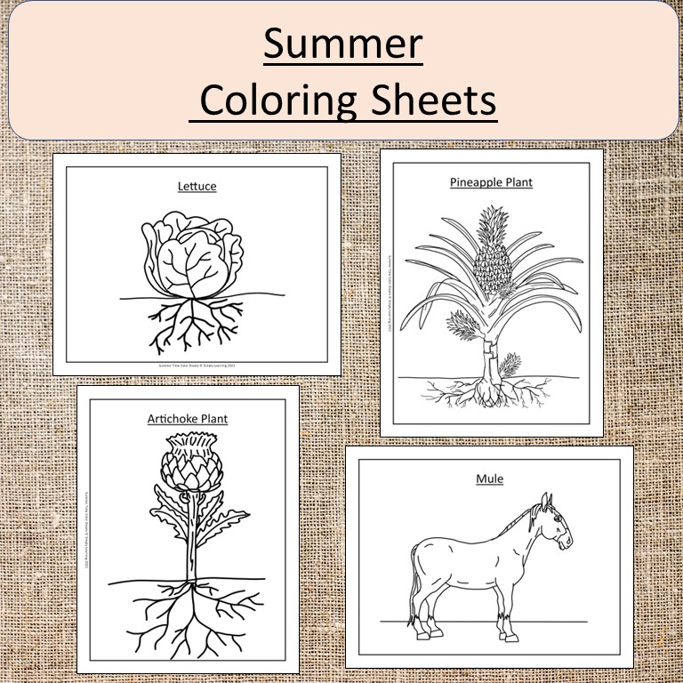 Summer Color Sheets Pages Art Garden Flowers Butterfly plants | Made By ...