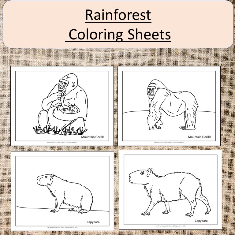 Rainforest Animals Coloring Sheets Pages Art Gorilla Frog Sloth | Made ...