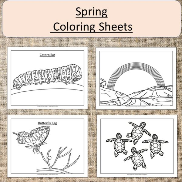 Spring Color Sheets Pages Art Rainbow flower, butterflies, birds | Made ...