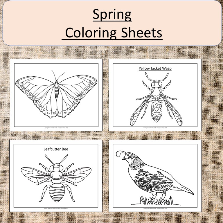 Spring Color Sheets Pages Art Rainbow flower, butterflies, birds | Made ...