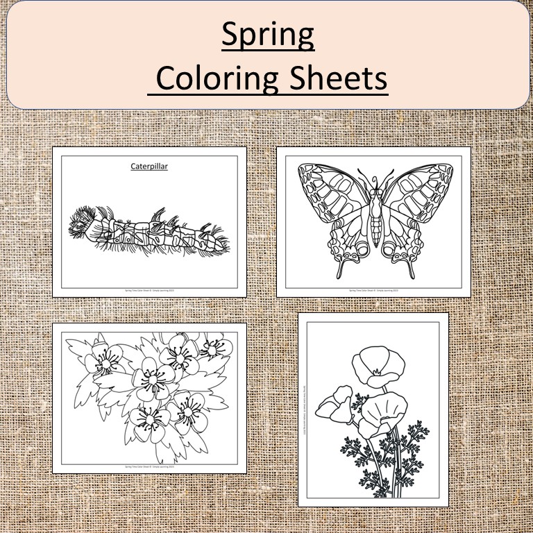 Spring Color Sheets Pages Art Rainbow flower, butterflies, birds | Made ...