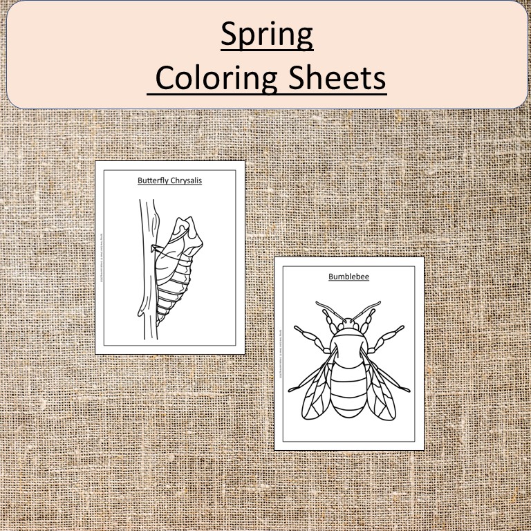 Spring Color Sheets Pages Art Rainbow flower, butterflies, birds | Made ...