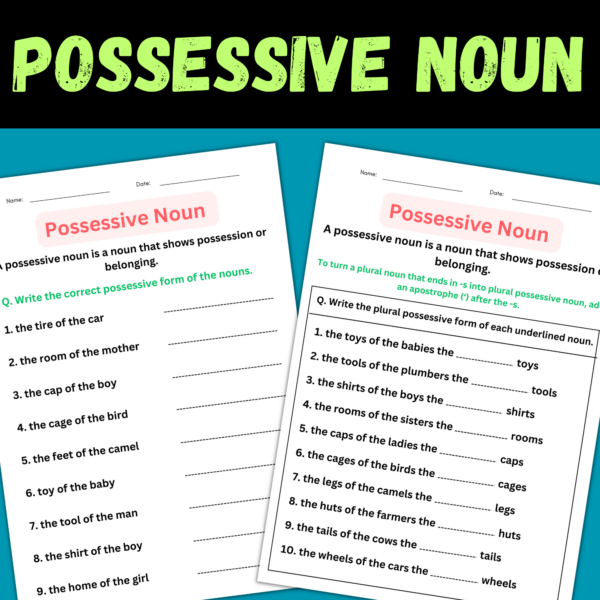 possessive nouns worksheets with answers - Digital and Printable for ...
