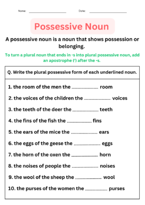 possessive nouns worksheets with answers - Digital and Printable for ...