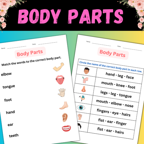 printable matching body parts worksheet for Special Education grade 1 ...