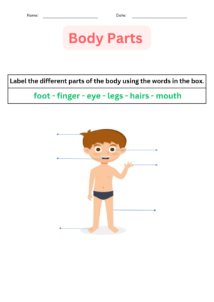 printable matching body parts worksheet for Special Education grade 1 ...