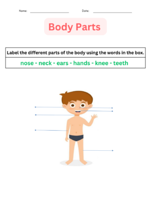 printable matching body parts worksheet for Special Education grade 1 ...