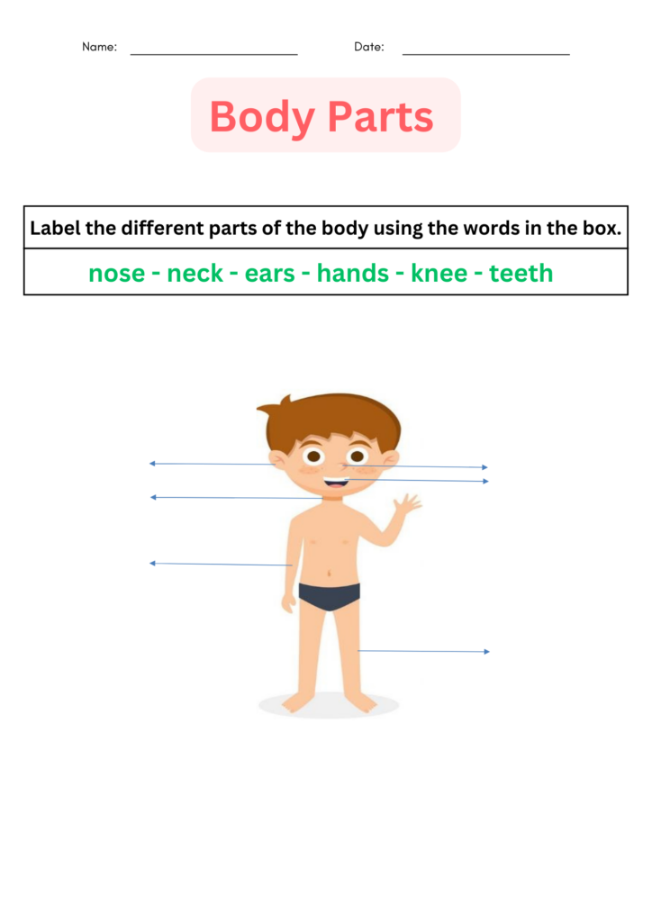 printable matching body parts worksheet for Special Education grade 1 ...