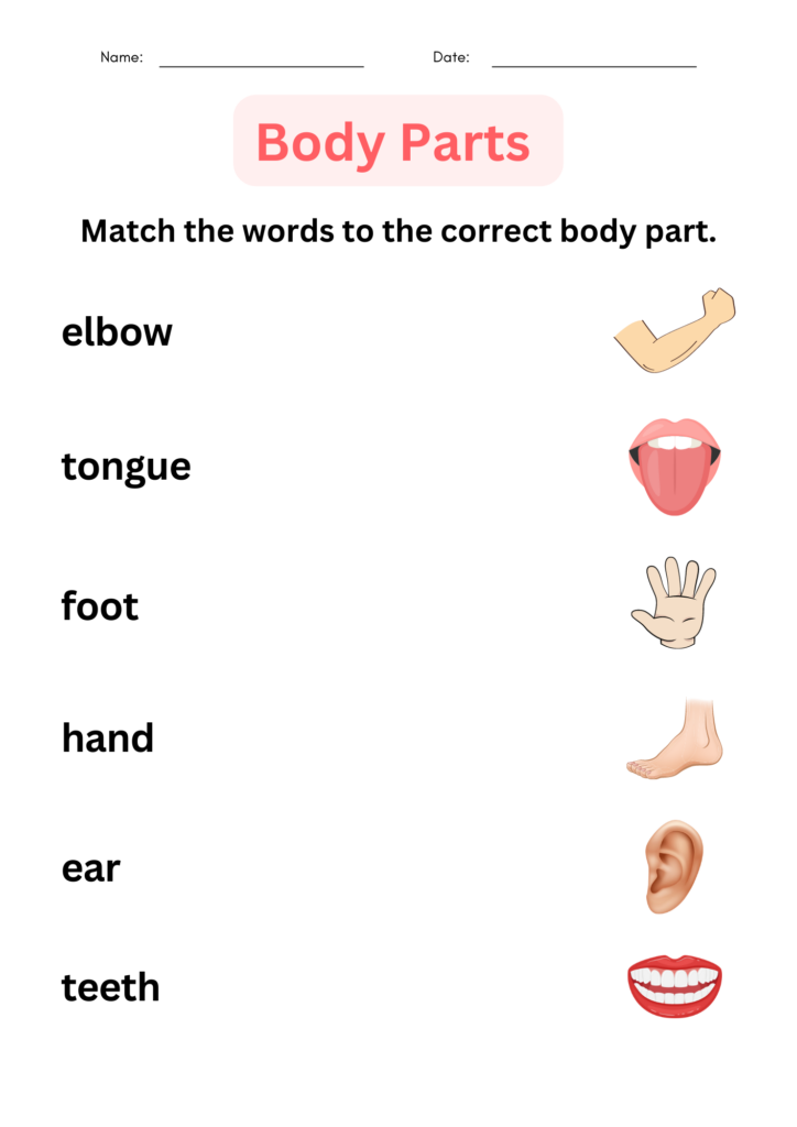printable matching body parts worksheet for Special Education grade 1 ...