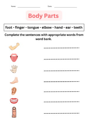 printable matching body parts worksheet for Special Education grade 1 ...