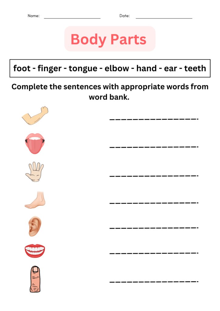 printable matching body parts worksheet for Special Education grade 1 ...