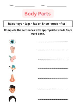 printable matching body parts worksheet for Special Education grade 1 ...