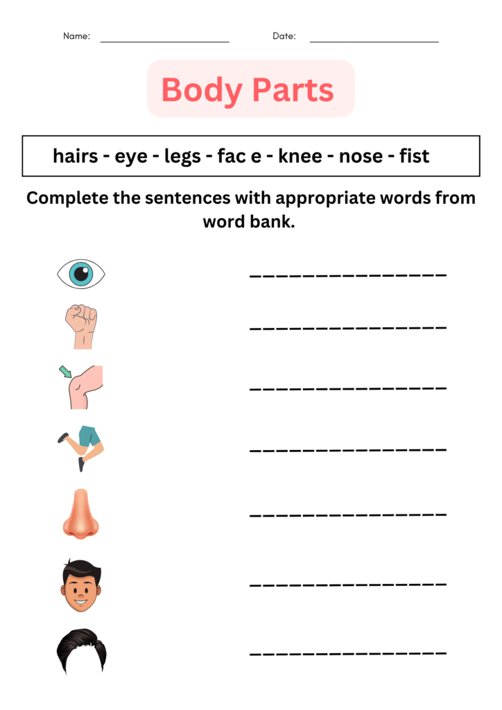 printable matching body parts worksheet for Special Education grade 1 ...