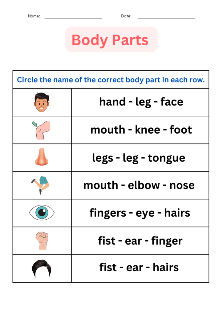 printable matching body parts worksheet for Special Education grade 1 ...