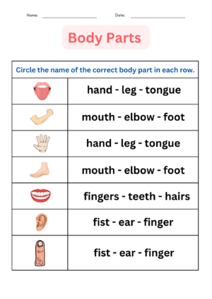 printable matching body parts worksheet for Special Education grade 1 ...