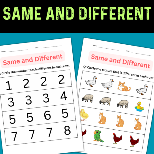 printable same and different worksheets for kindergarten | Made By Teachers