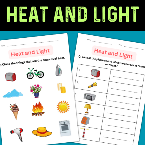 Forms of Energy Set with Heat and Light Activities for 1st 2nd 3rd ...