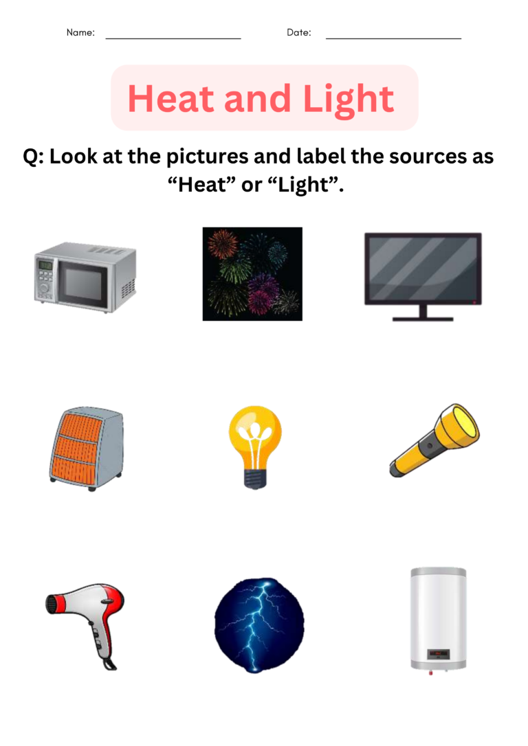 Forms of Energy Set with Heat and Light Activities for 1st 2nd 3rd ...