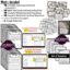 Customer Service Scenarios | Career Readiness Scenarios | Customer ...