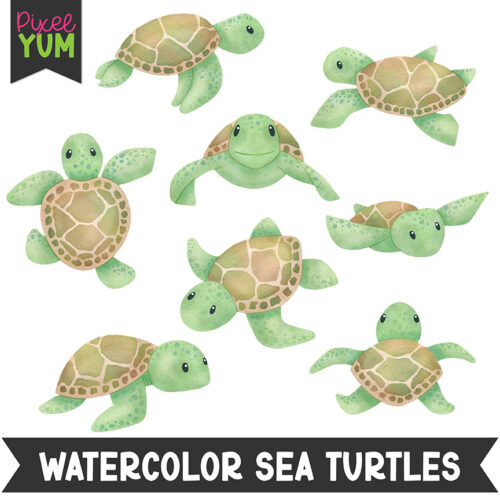 Watercolor Sea Turtles Clipart - Commercial Use OK | Made By Teachers