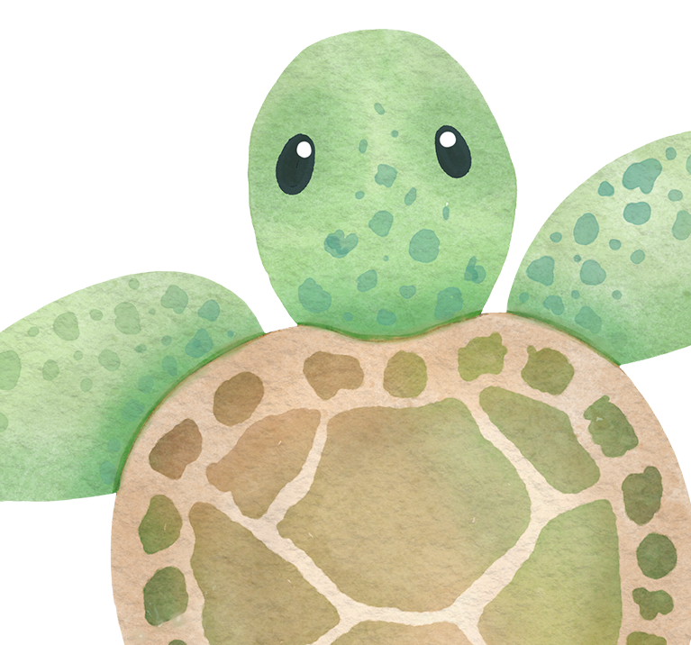 Watercolor Sea Turtles Clipart - Commercial Use OK | Made By Teachers