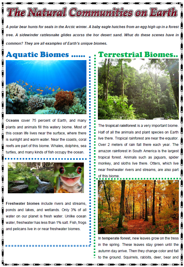SDG (sustainable Development Goal) #15 - Life on Land | Made By Teachers