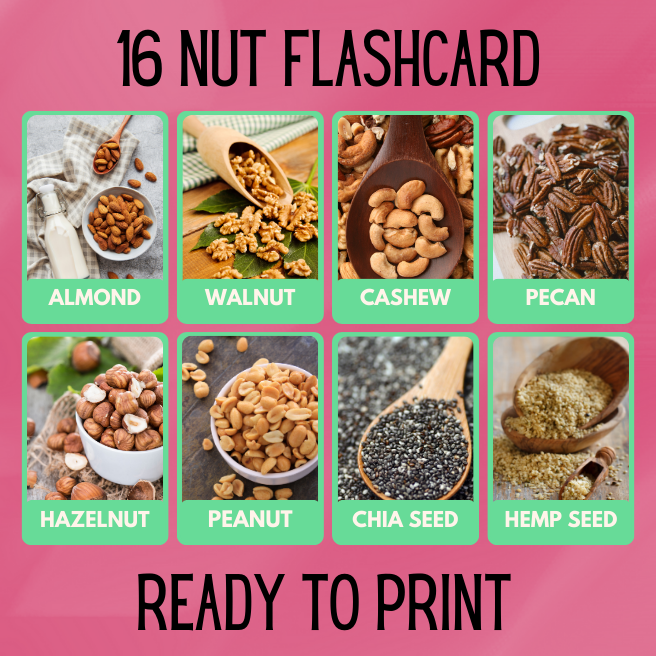 16 Nut Educational Printables Flashcards Educational Activities ...