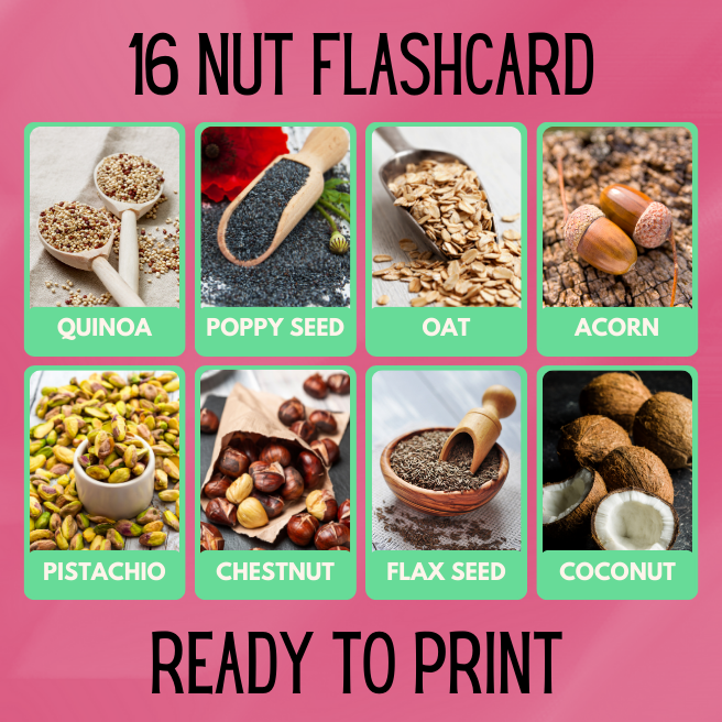 16 Nut Educational Printables Flashcards Educational Activities ...
